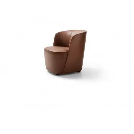 Felix armchair by Lema: a versatile piece of furniture